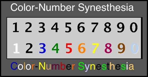 Alanas Psychology Blog Synesthesia