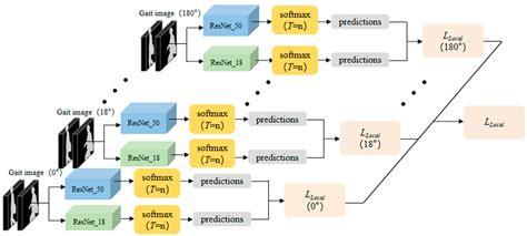 Cross View Gait Recognition Method Based On Multi Teacher Joint Knowledge Distillation