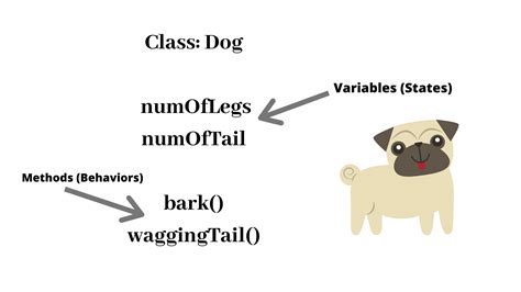 What The Heck Is Oop Let Me Help You Understand It With Detailed Java Code Examples Namvdo
