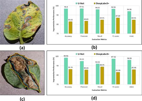 Examples Of Visual Segmentation Results For Comparison Between The Best