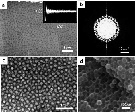 Figure 1 From Inverse Photonic Glasses By Packing Bidisperse Hollow Microspheres With Uniform
