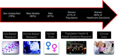Development Of A Pubmed Based Search Tool For Identifying Sex And