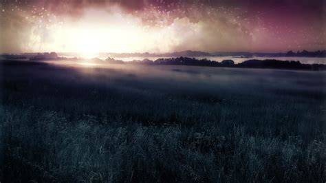 엠피씨 로맨틱 크리 에이 티브 디자인 와이드 벽지시사