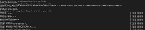 Install Redis On Amazon Linux 2 Official