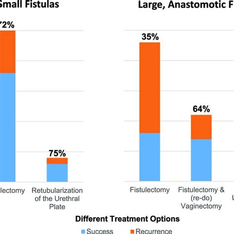 Recurrence Free Rate After Surgical Treatment Of A Urethral Stricture Download Scientific