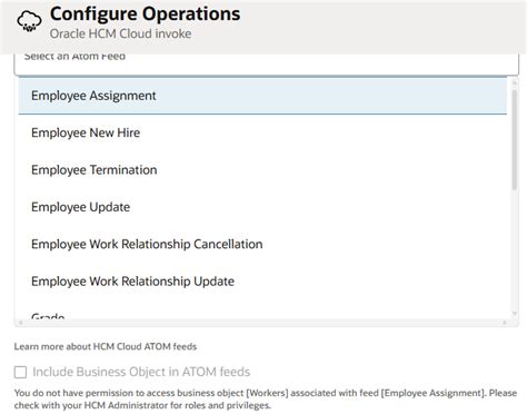 Oracle Hcm Cloud Invoke You Do Not Have Permission To Access Business Object Workers — Cloud