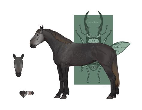 Bjoerk By Belidae On Deviantart