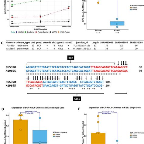 Expression Of Bcr Abl1 Chimeras Calculated By Chitah A Total