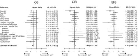 subgroup analysis of the prognostic impact of dn type ikzf1 deletion