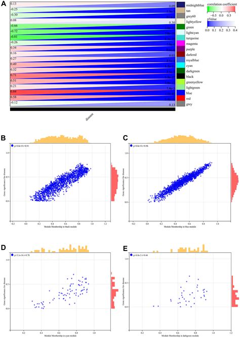 Kif20a As A Potential Biomarker Of Renal And Bladder Cancers Based On