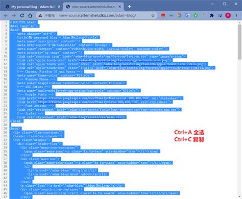 全栈之巅 Nodejsadonisjsvuejs开发带完整后台管理ui的博客系统笔记 灰信网（软件开发博客聚合）
