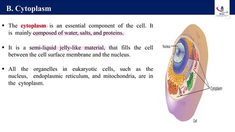 Biology Lecture Slides Biology Final Important Ppt