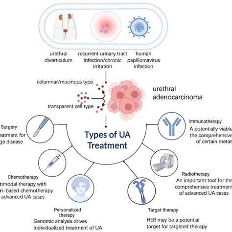 Timeline Of Targeted Drugs Which Fda Approved For Oncogene Driven Nsclc