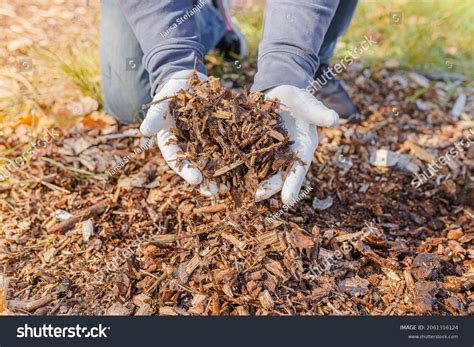 Tree Compost Images Stock Photos Vectors Shutterstock