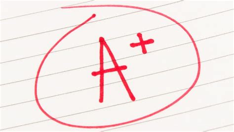 Tuition Doctor Want Better Grades Follow This Advice