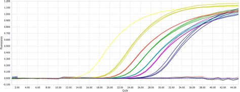 The Real Time Pcr Data Of Amplification Curves Obtained Directly With
