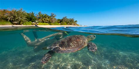 Port Douglas Experiences Island Reef Daintree Rainforest