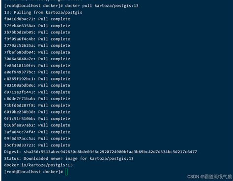 Centos中使用dockercompose方式部署带postgis的postgresql（附kartozadocker Postgis镜像下载）