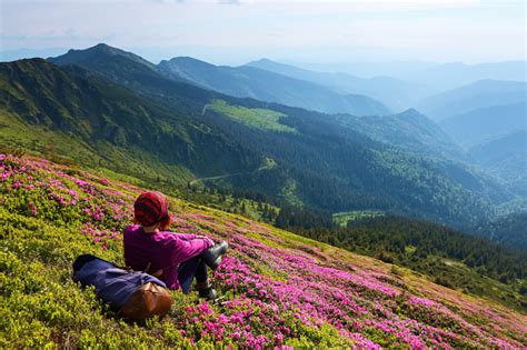 높은 산 풍경입니다 구름과 하늘입니다 숲도 로입니다 진달래의 잔디밭에 여자는 뒤 자루와 함께 앉아 있다 에코 관광 합니다 아름 다운 여름 날입니다 개발에 대한 스톡 사진 및
