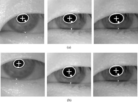 Binocular Gaze Detection Method Using A Fuzzy Algorithm Based On Quality Measurements