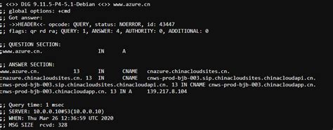 AKS DNS Response Contains OPT Record With Data Issue Azure AKS GitHub