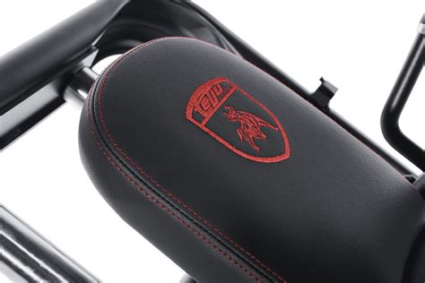 Sentadilla Hack Telju Fitness