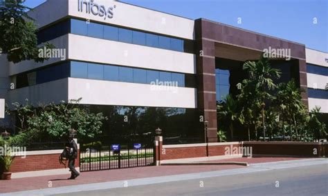 Infosys Walk In Interview In Hyderabad 3 5 Years September 2024