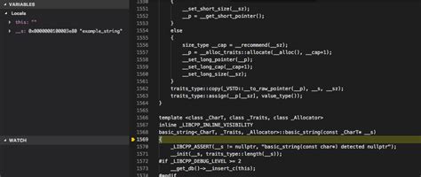 Doesnt Show Stl Container Vector Accurately On Variables Window While Debugging · Issue
