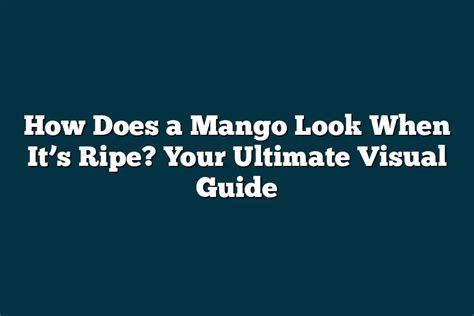 How Does A Mango Look When Its Ripe Your Ultimate Visual Guide Fruitspursuits Com