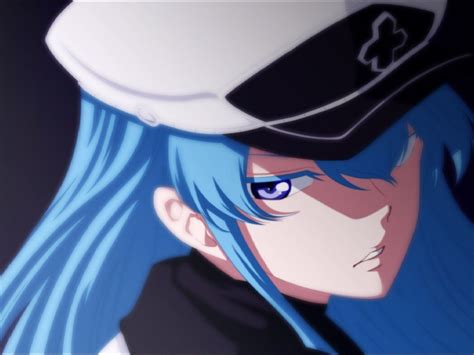 Esdeath Wallpapers 4k Hd Backgrounds On Wallpaperbat