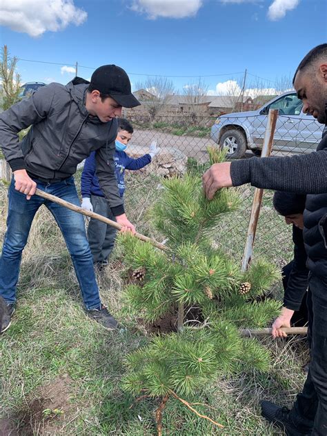 მსოფლიოს გარემო ფოტო