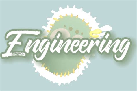 Engineering Success Sesame Shenzhen IGEM