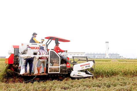 Mesin Combi Padi Homecare