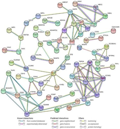 Ppi Network Showing Experimentally Verified And Predicted Interaction