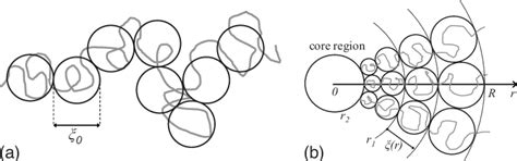 Blob Picture Of A Linear Polymer Chain A And Of Polymer Chains In Blob Picture Of A Linear Polymer Chain A And Of Polymer Chains In