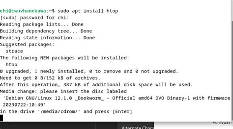 I Cannot Install In Debian R Linux4noobs