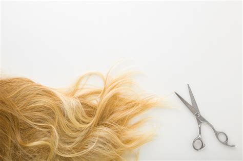 밝은 회색 배경에 금발 여성 머리와 가위 절단 머리 개념 근접 촬영 하향 보기 0명에 대한 스톡 사진 및 기타 이미지 0명