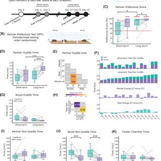 Sex Differences In Partner Preference Metrics A Schematic Of Download Scientific Diagram