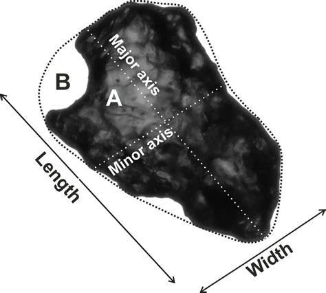 Illustration To Interpret The Grain Shape Formulas A Area Of The Download Scientific Diagram