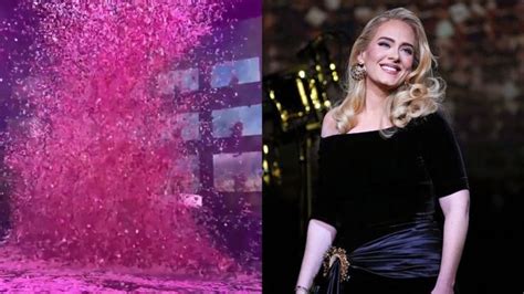 Video Misterio En Concierto De Adele Desapareció En Una De Sus