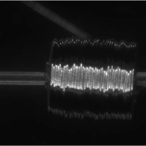 The Microfluidic Inductive Sensor Chip Under Microscope Download Scientific Diagram