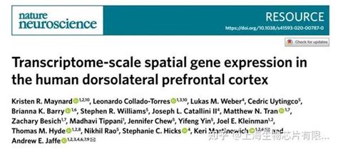 文献解读 10x Genomics Visium 应用于人类背外侧前额叶皮层的基因表达空间图谱研究 知乎