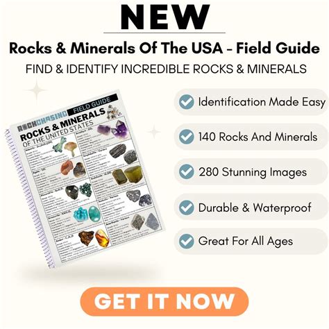 The 23 Legit Spots To Find Michigan Fossils In 2025