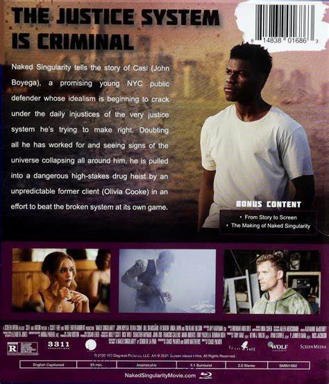 NAKED SINGULARITY HamiltonBook