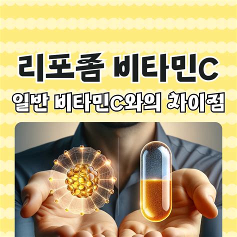 리포좀 비타민c의 흡수율 일반 비타민c와의 차이점