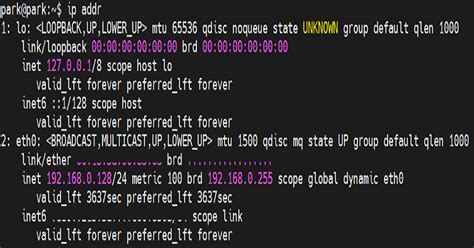 Linux Ip Addr 아이피 확인하기