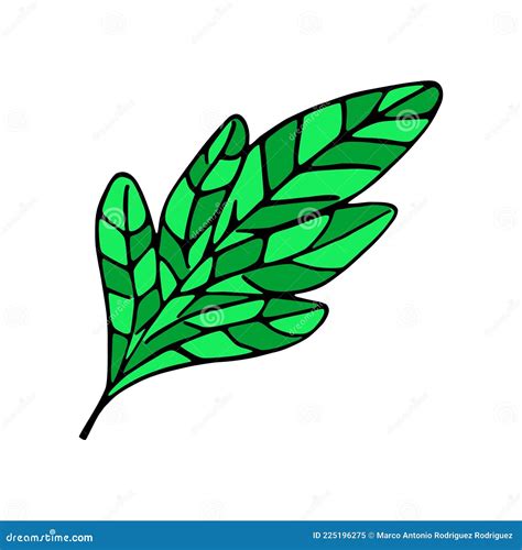 Isolated Sketch Of A Tree Leaves Stock Vector Illustration Of Natural