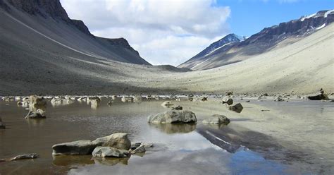 Scientists Visualize Two Entangled Light Particles In Real Time And It Looks Like A Quantum Yin