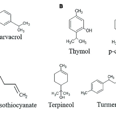 Functional Groups And Mode Of Action Of Bioactive Compounds Download Scientific Diagram