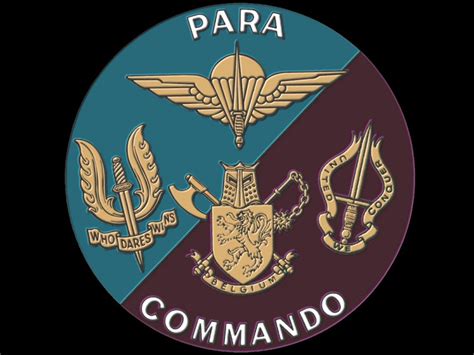 Para Commandos Ap Heritage